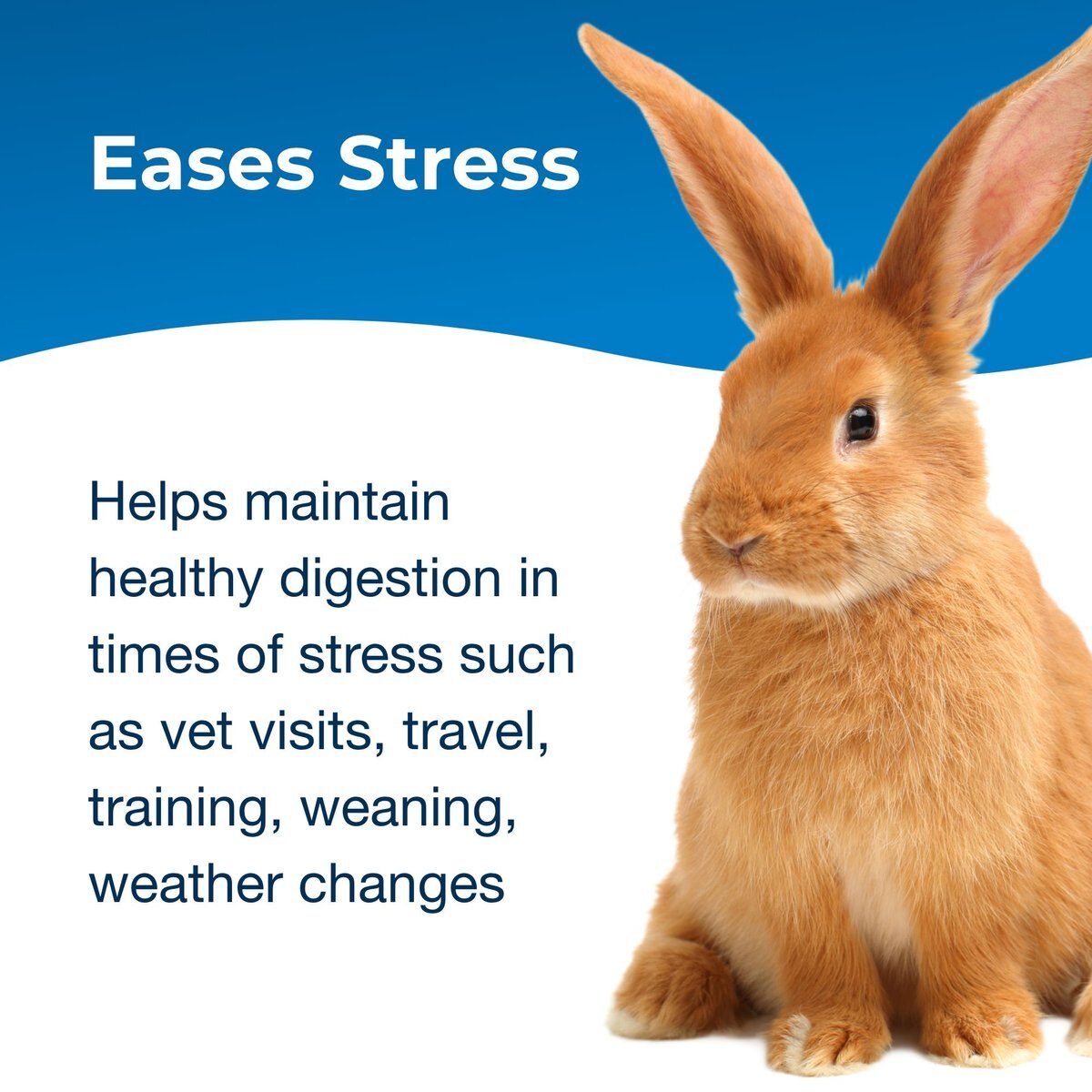 PETAG Bene-Bac Powder FOS & Probiotics for Dogs, Cats, Exotic ...