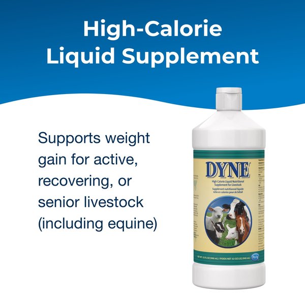 PETAG Dyne High Calorie Liquid Nutritional Supplement for Livestock, 32 ...