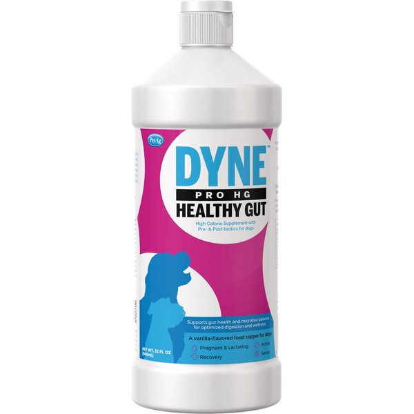 PETAG Dyne PRO HG Healthy Gut Liquid Supplement for Dogs, 32-fl oz ...