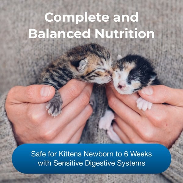 PETAG Goat's Milk KMR Kitten Milk Replacer Powder for Kittens, 12-oz ...