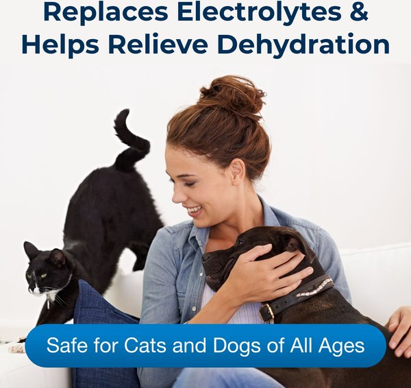 PETAG Pet Pectillin Anti-Diarrheal Medication for Dogs & Cats, 4-fl oz ...