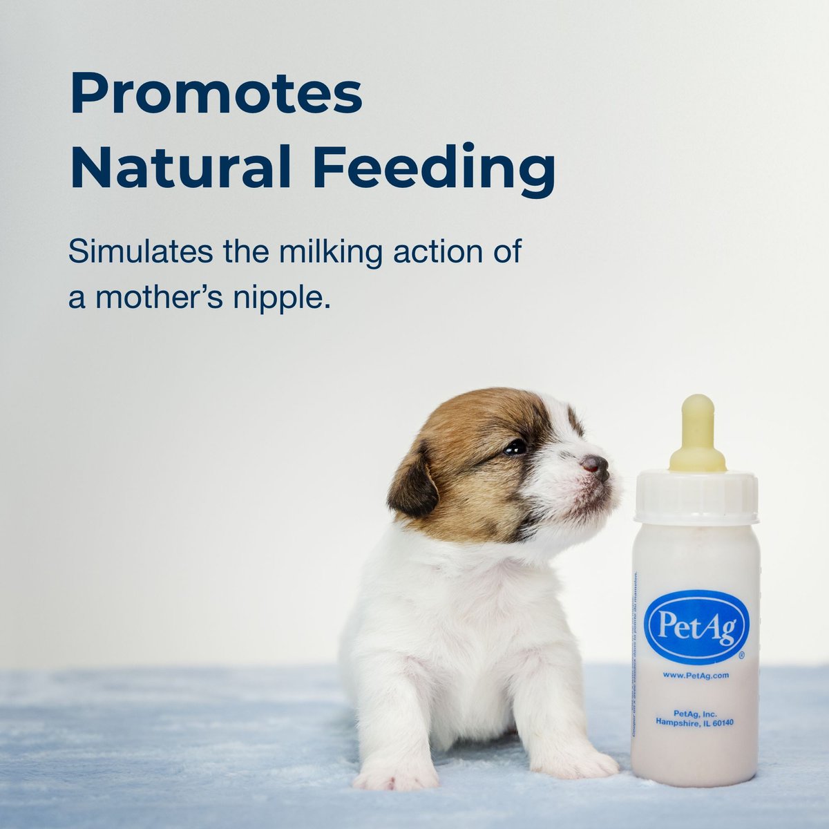 PETAG Small Animal Nursing Kit, 2-oz bottle - Chewy.com