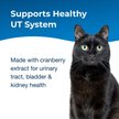 PETAG UT Solution Gel Supplement for Cats 6 Months & Older, 3.5-oz tube ...
