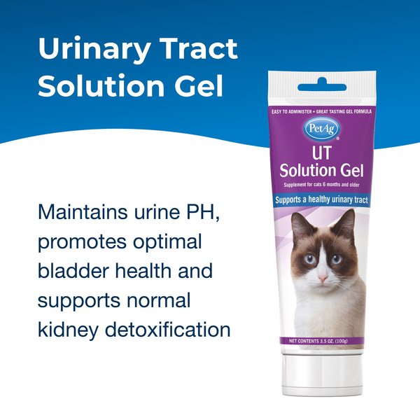 PETAG UT Solution Gel Supplement for Cats 6 Months & Older, 3.5-oz tube ...