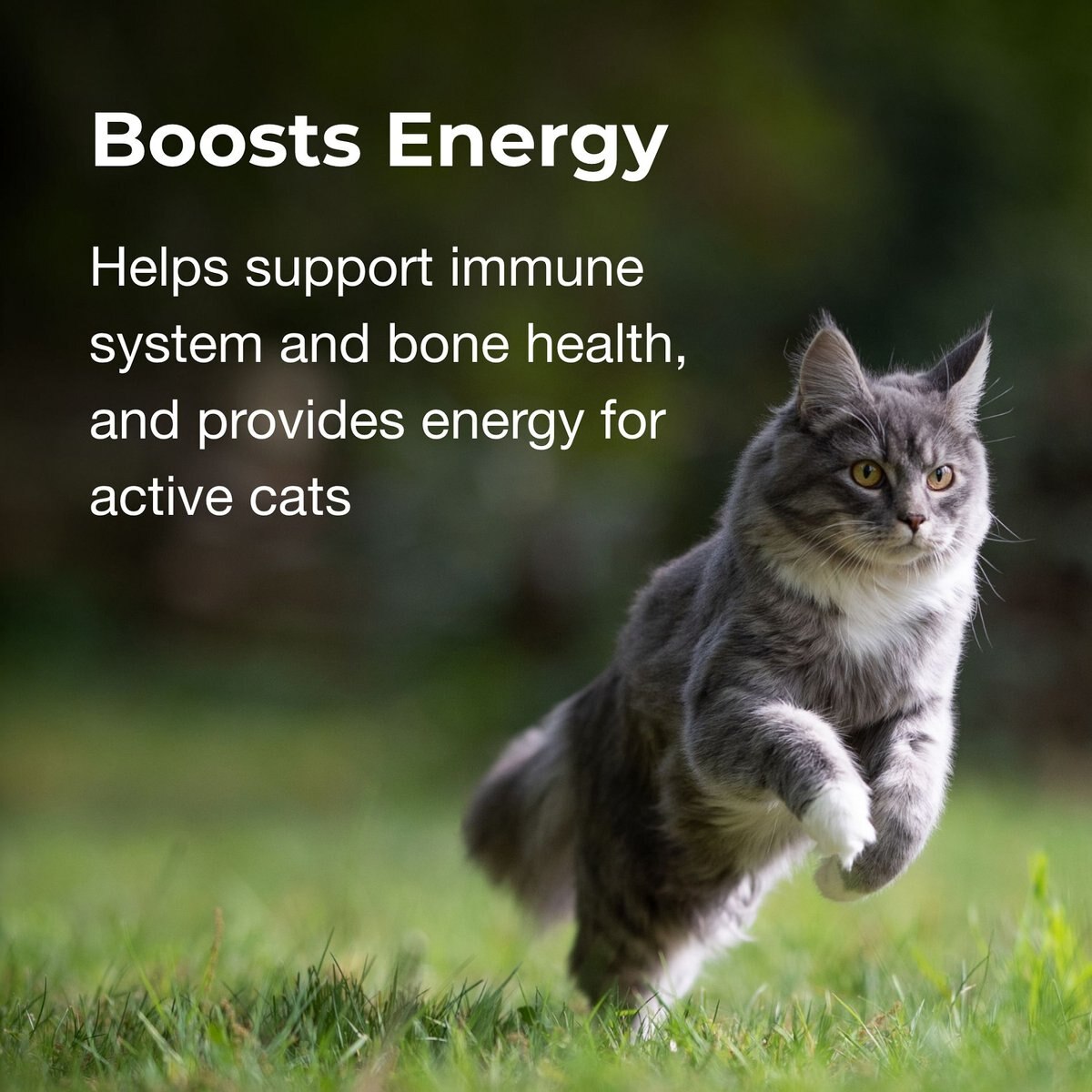 PETAG Vitamin & Mineral Gel Supplement for Cats 4 Months & Older, 3.5 ...