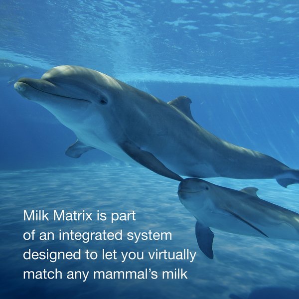 PETAG Zoologic Milk Matrix 33/40 Milk Protein Powder for Wild & Exotic ...