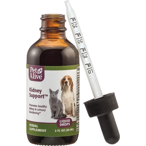 PET WELLBEING Kidney Support GOLD Bacon Flavored Liquid Kidney ...