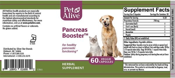 PETALIVE Pancreas Booster Dog & Cat Supplement, 60 count - Chewy.com