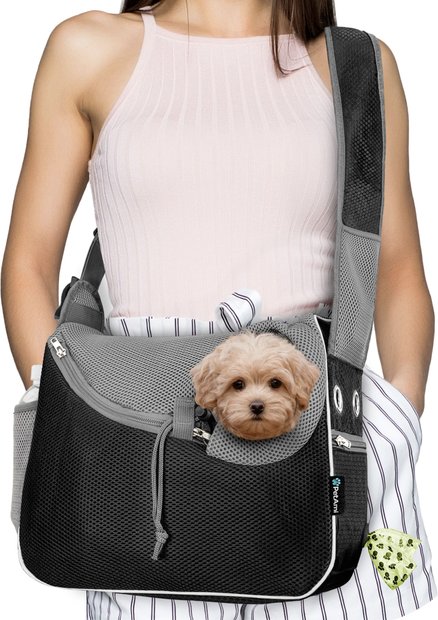 Cat Carrier Bags - Page 3 (Free Shipping) | Chewy