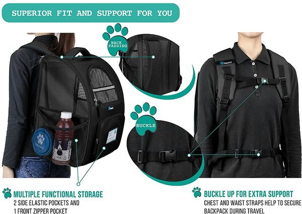 PETAMI Deluxe Backpack Dog & Cat Carrier, Black - Chewy.com