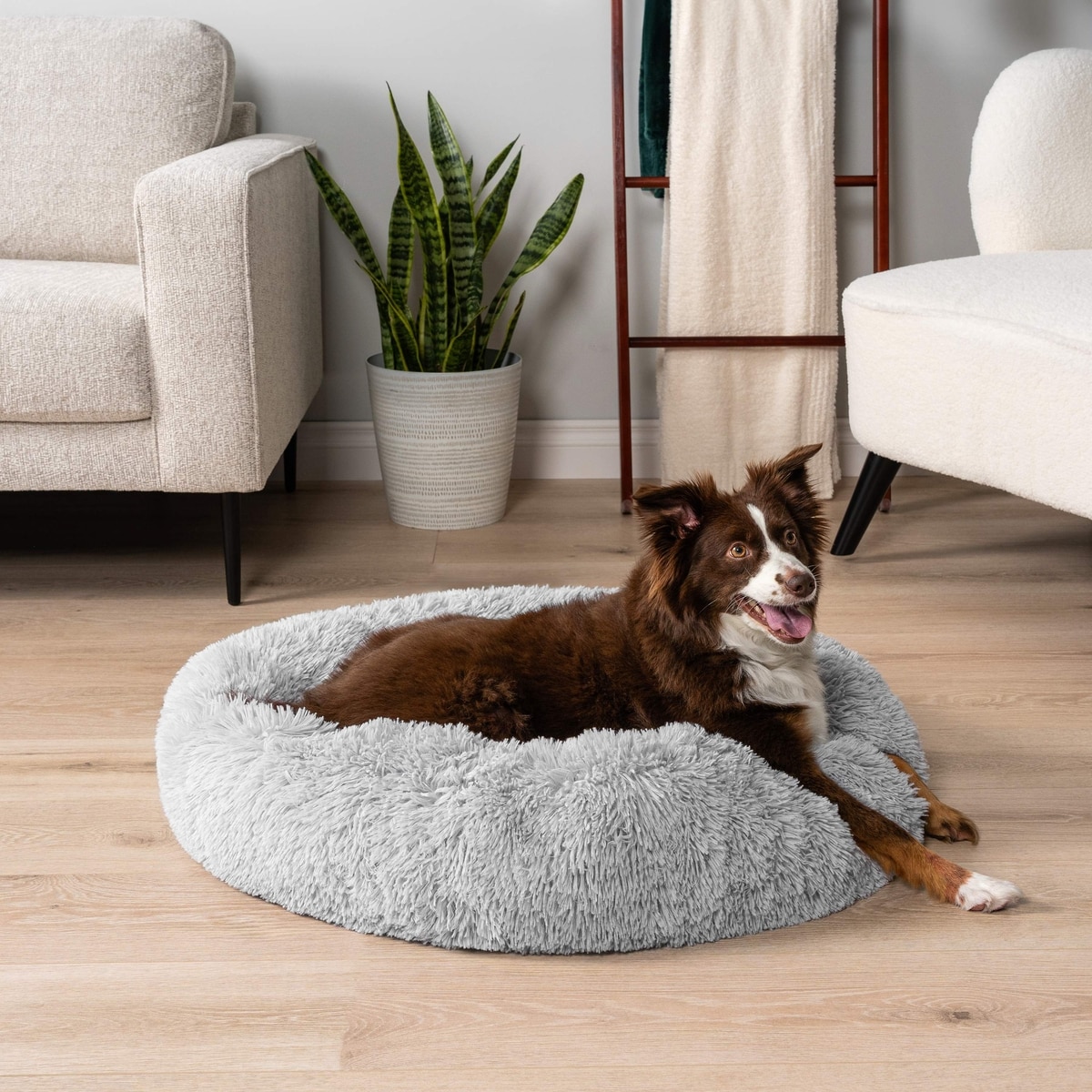 PETAMI Donut Cat & Dog Bed, Light Gray, Medium - Chewy.com