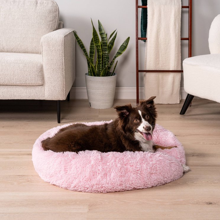 PINK DOG BEDS (Free Shipping) | Chewy