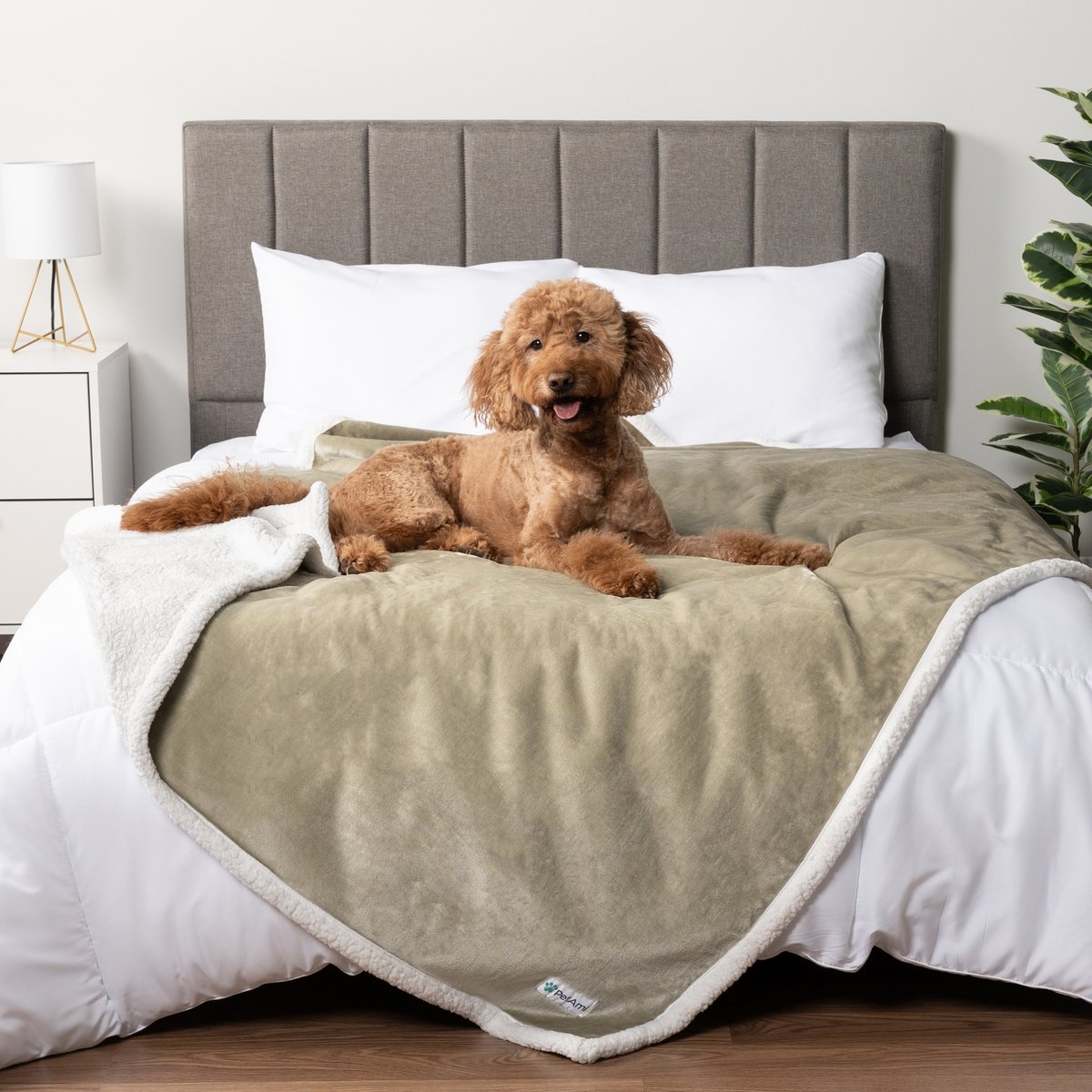 PETAMI Waterproof Dog Blanket, Taupe, Queen - Chewy.com