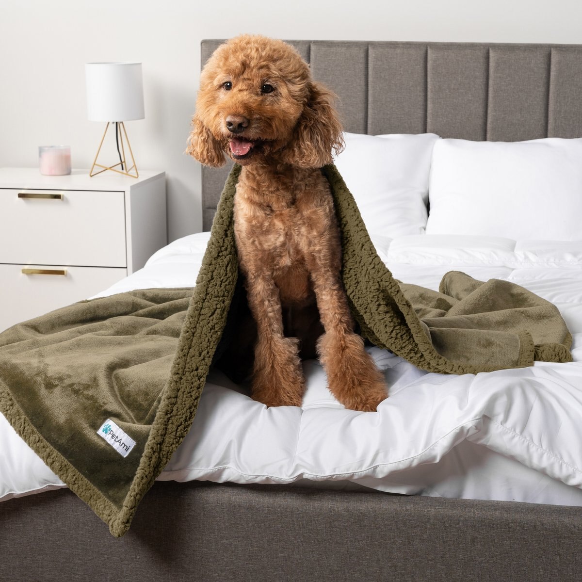 PETAMI Waterproof Dog Blanket, Taupe & Taupe Sherpa, 50 x 40-in - Chewy.com