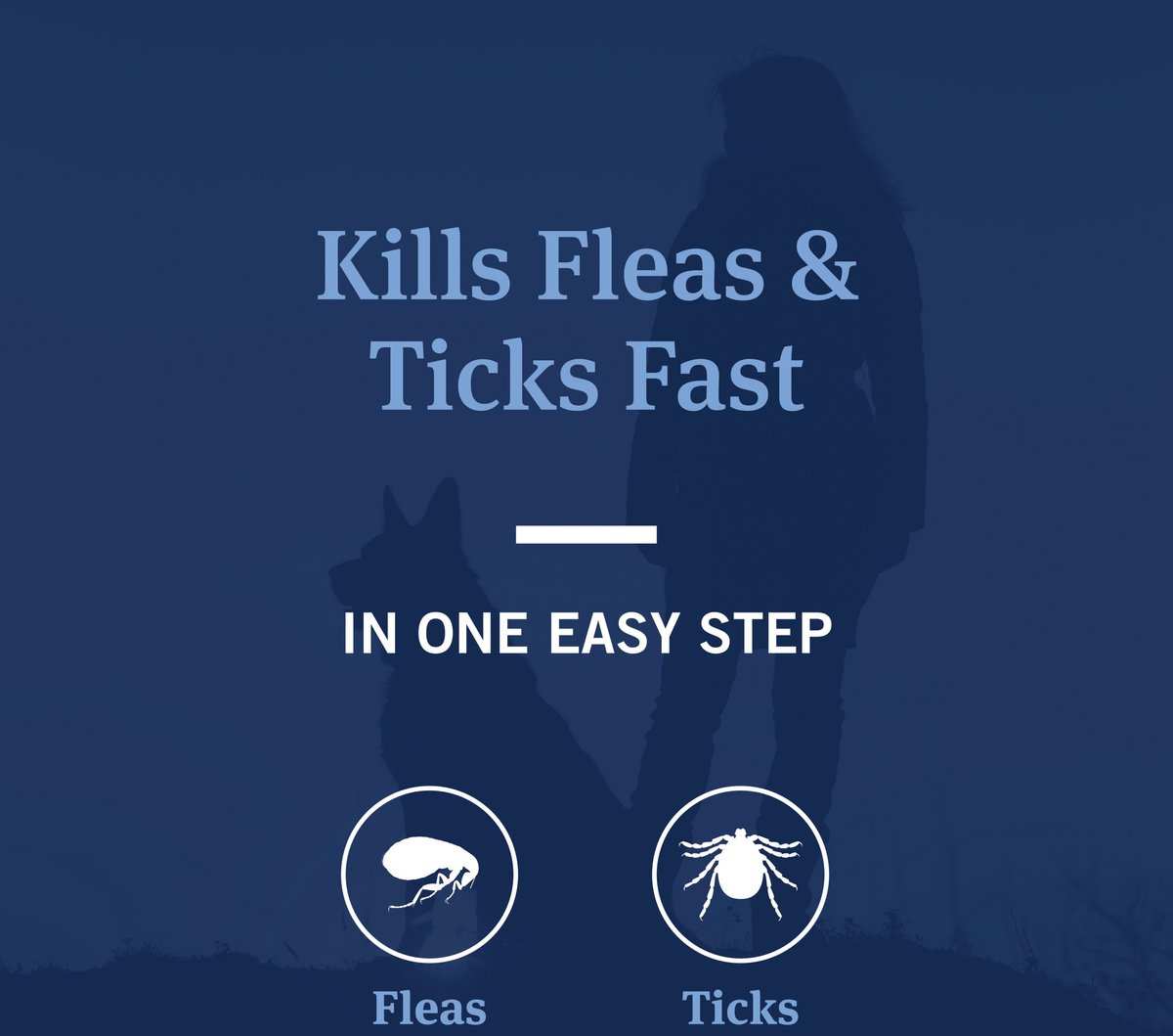 PETARMOR Plus Oatmeal Shampoo for Dogs, 18-fl oz bottle - Chewy.com