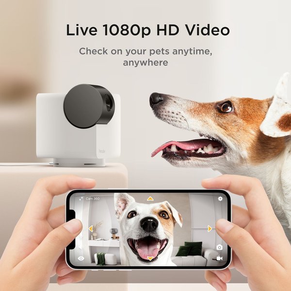 PETCUBE Cam 360 Wi-Fi Pet Camera, White - Chewy.com