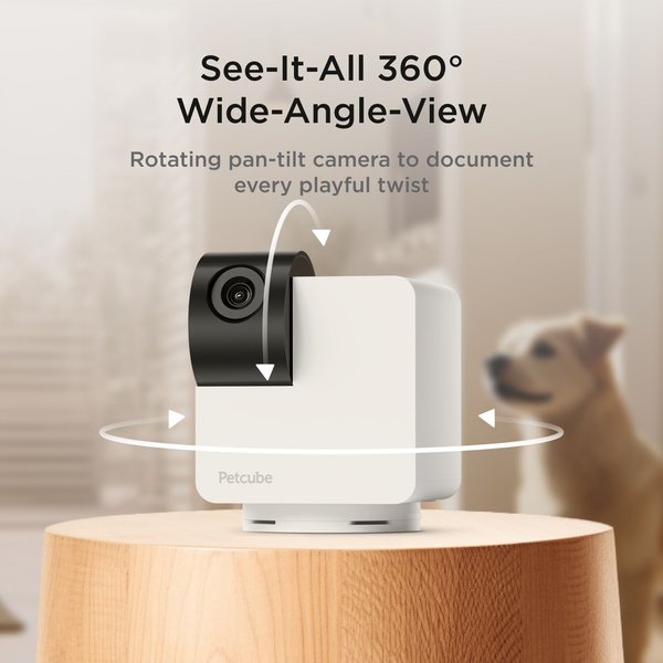 PETCUBE Cam 360 Wi-Fi Pet Camera, White - Chewy.com