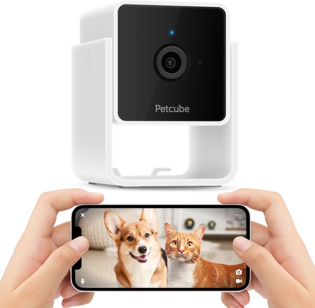 Dog Cameras & Monitors: Wi-Fi, Video & More (Free Shipping) | Chewy
