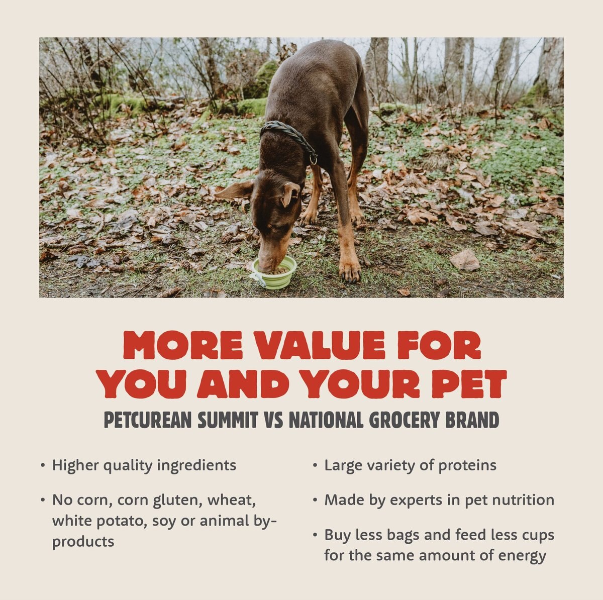 PETCUREAN SUMMIT Farmstead Feast Adult Dry Dog Food, 25-lb bag - Chewy.com