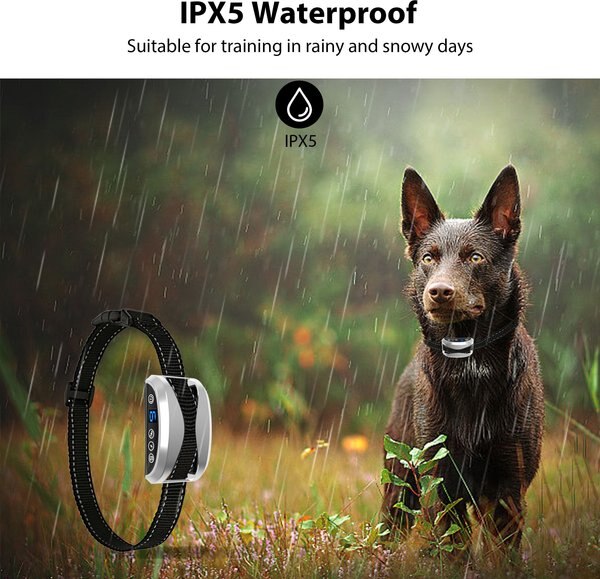 PETDIARY Rechargeable Static Dog Bark Collar, Silver - Chewy.com