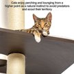 PETFUSION 76.8-in Wall Mounted Cat Tree - Chewy.com