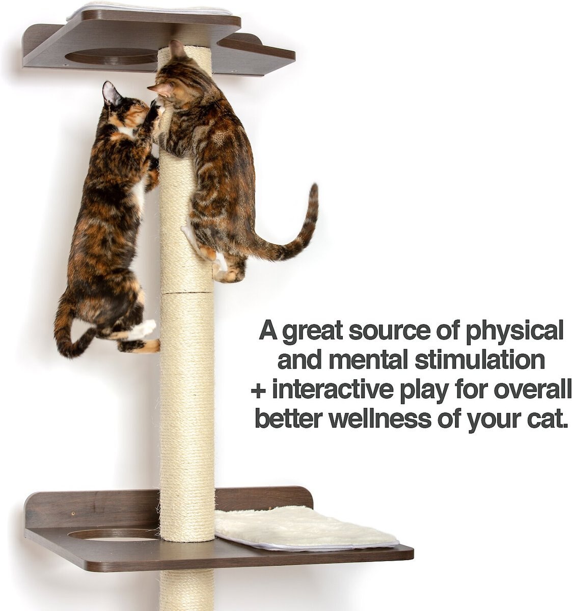 PETFUSION 76.8-in Wall Mounted Cat Tree - Chewy.com
