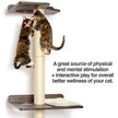 PETFUSION 76.8-in Wall Mounted Cat Tree - Chewy.com