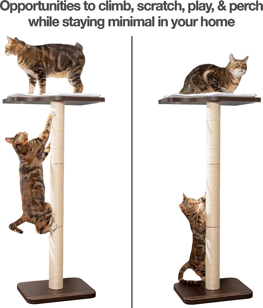 PETFUSION Ultimate Window Cat Perch - Chewy.com