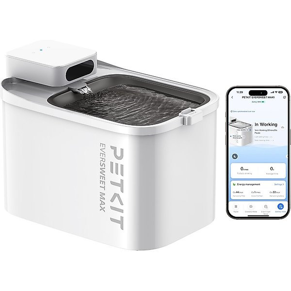 PETSAFE Outlast Pumpless Cat Water Fountain, White, 128-oz - Chewy.com