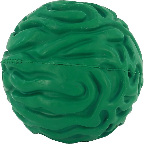 THE VIRTUALLY INDESTRUCTIBLE BALL Dog Toy, Color Varies, 10-in - Chewy.com