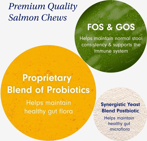 PETLAB CO. Probiotic Salmon Flavored Soft Chew Digestive Supplement for ...