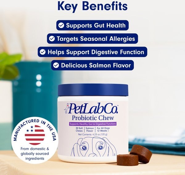 PETLAB CO. Probiotic Salmon Flavored Soft Chew Digestive Supplement for ...