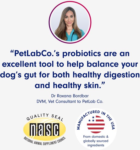 PETLAB CO. Probiotic Salmon Flavored Soft Chew Digestive Supplement for ...