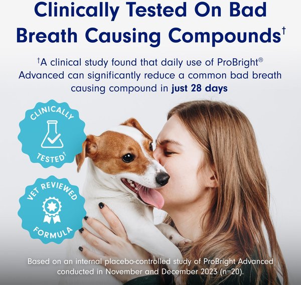 PETLAB CO. ProBright Advanced Chicken Flavored Powder Dental Supplement ...