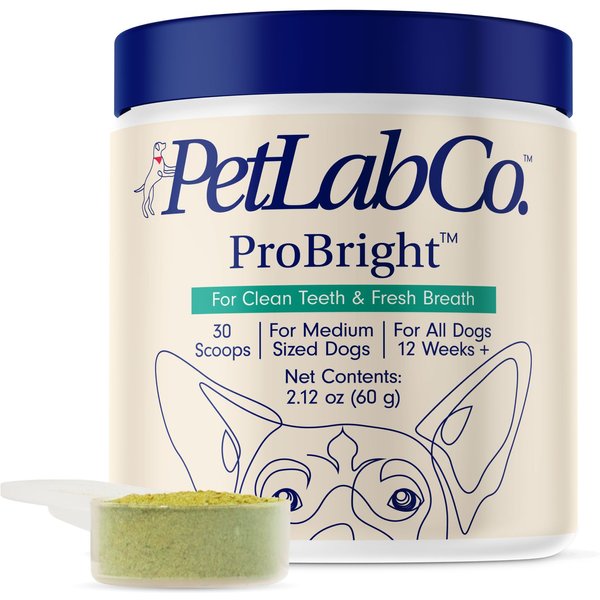 PETLAB CO. ProBright Dog Dental Powder for Medium Dogs - Chewy.com
