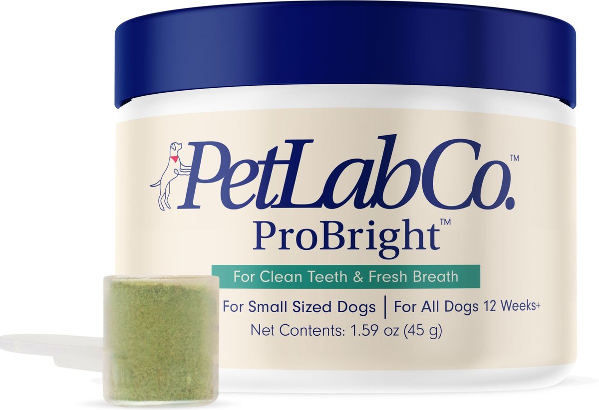 PETLAB CO. ProBright Dog Dental Powder for Small Dogs - Chewy.com