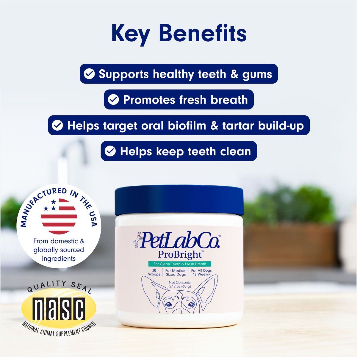 PETLAB CO. ProBright Dog Dental Powder for Small Dogs - Chewy.com