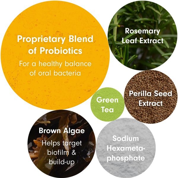 PETLAB CO. ProBright Dog Dental Powder for Small Dogs - Chewy.com