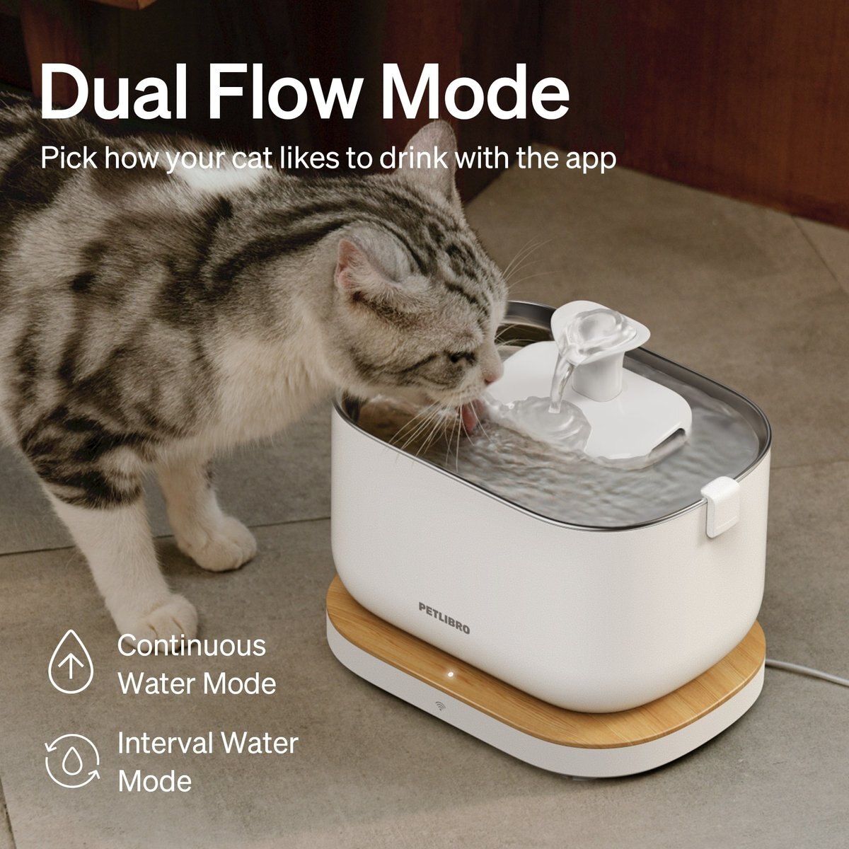 PETLIBRO Dockstream Wireless Water Pump App Cat Fountain + 1 Replacement Wireless Pump, White ...