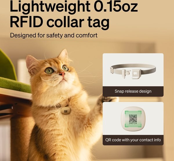 PETLIBRO One RFID Automatic Cat Feeder with Collar Tag, 3-L & Feeder ...