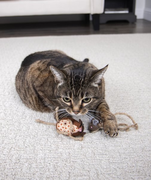 PETLINKS Lil' Critters Mice Cat Toy with Catnip, 2 count - Chewy.com