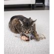 PETLINKS Lil' Critters Mice Cat Toy with Catnip, 2 count - Chewy.com