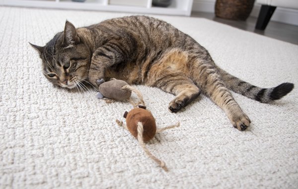 PETLINKS Lil' Critters Mice Cat Toy with Catnip, 2 count - Chewy.com