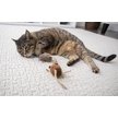 PETLINKS Lil' Critters Mice Cat Toy with Catnip, 2 count - Chewy.com