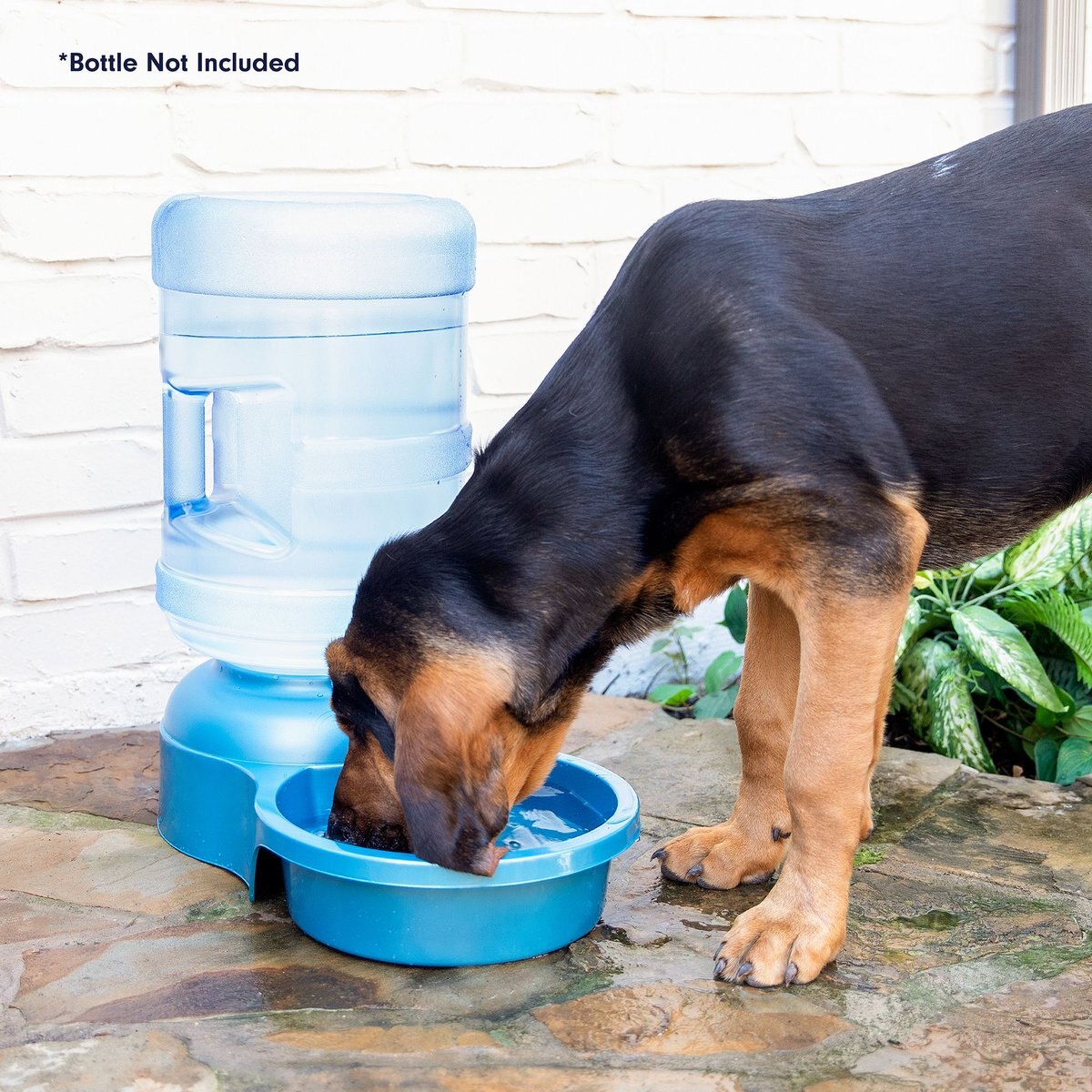 PETMATE Big Blue Outdoor Dog Water Bowl, 5-gal - Chewy.com