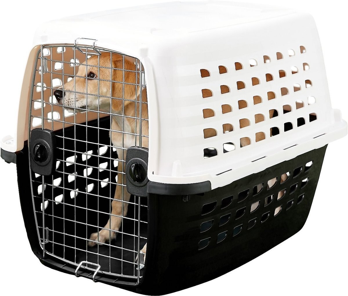 Out of Stock - PETMATE Compass Dog & Cat Kennel, White, Intermediate ...