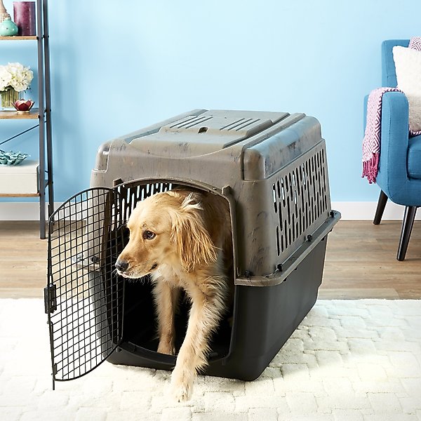 Temporarily Unavailable - ASPEN PET Traditional Dog & Cat Kennel, Gray ...