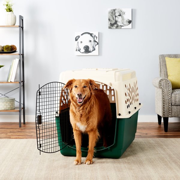PETMATE Sky Dog & Cat Kennel, Gray, 48 inches, 90-125-lbs - Chewy.com