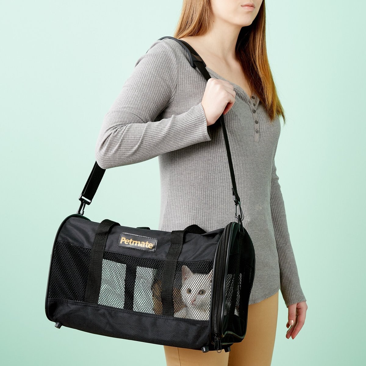 PETMATE Soft-Sided Dog & Cat Carrier Bag, Black, up to 10-lbs - Chewy.com