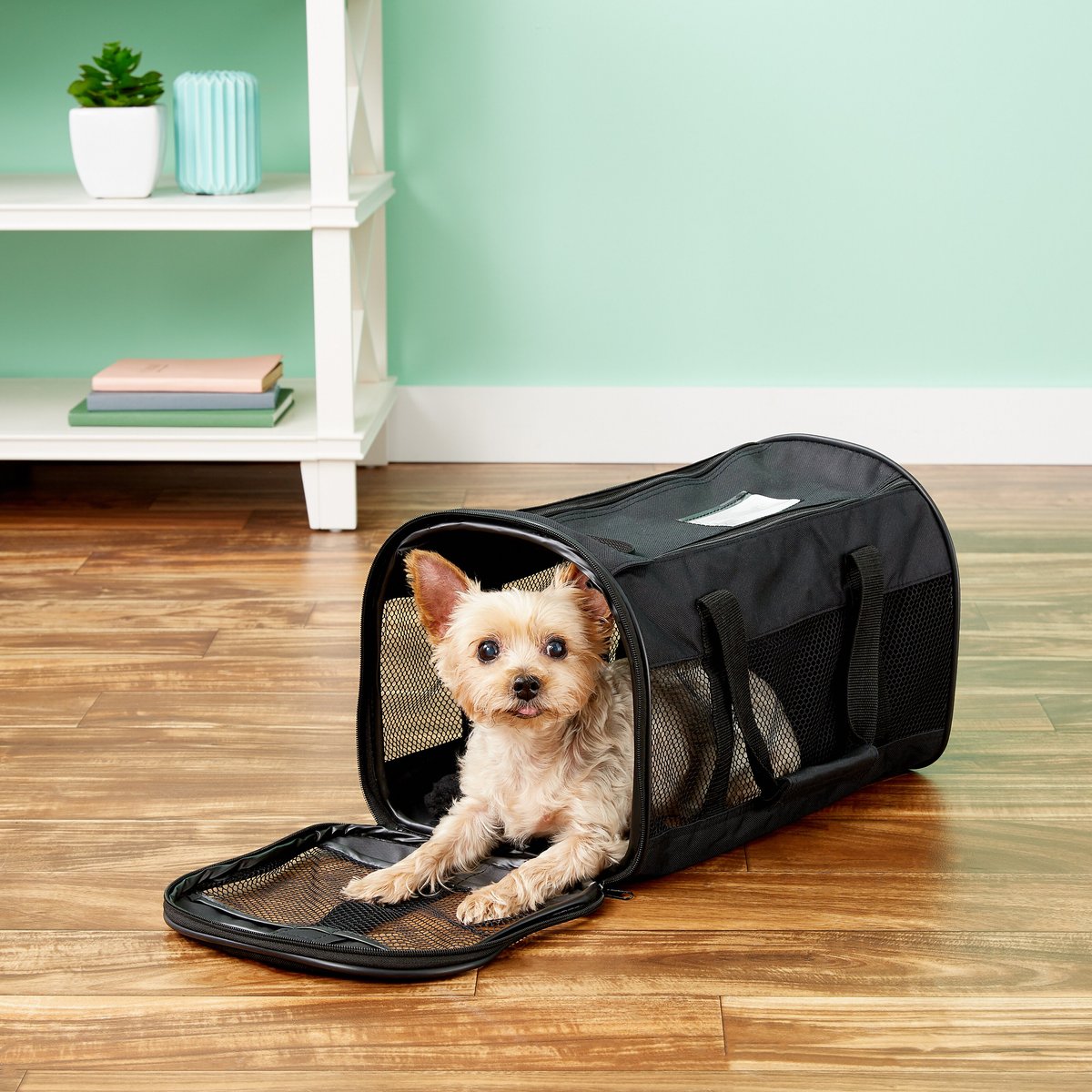 PETMATE Soft-Sided Dog & Cat Carrier Bag, Black, up to 10-lbs - Chewy.com